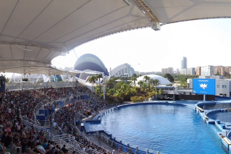 Oceanografic Valencia Tickets Price – Everything you need to know