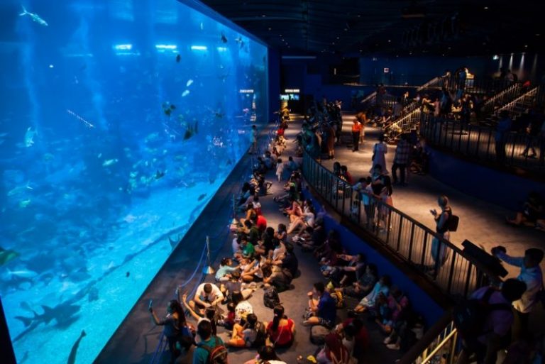 48 Best Aquariums in the World
