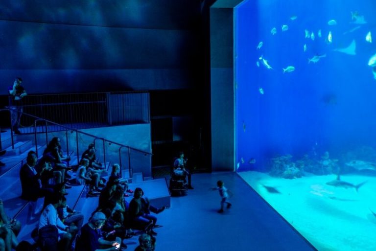48 Best Aquariums in the World