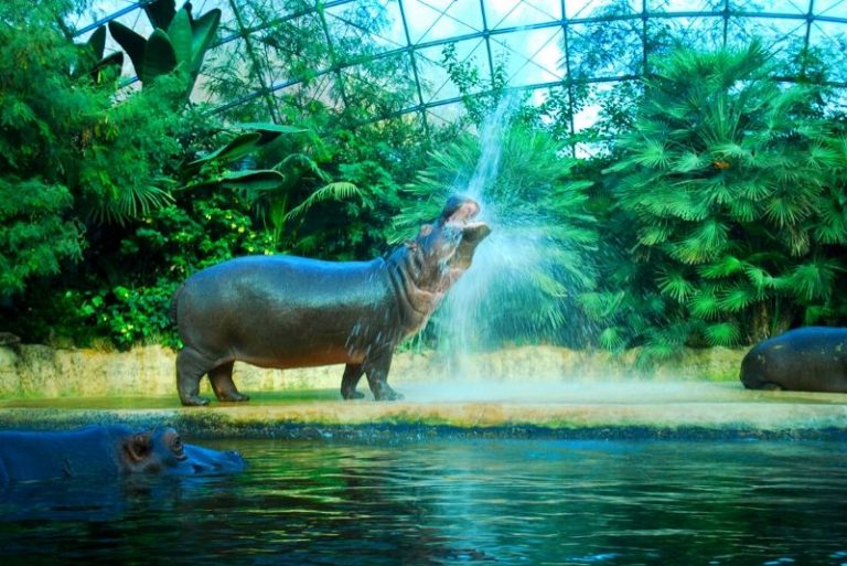 50 Best Zoos in the World