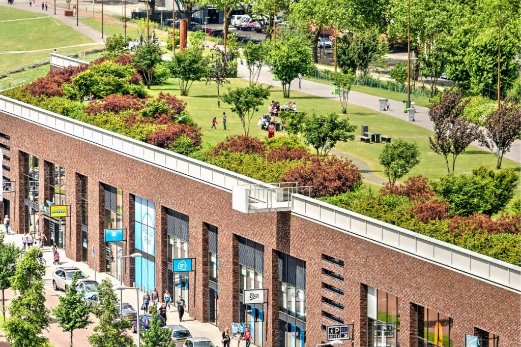 56 Fun & Unusual Things to Do in Rotterdam - TourScanner