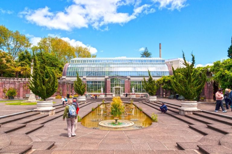 70 Fun Things to Do in Auckland, New Zealand - TourScanner