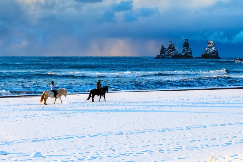 30 Fun & Unusual Things to Do in Vik, Iceland