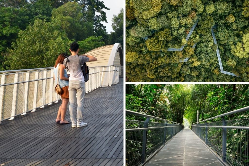 3 Day Singapore Itinerary: The Perfect Guide for First Time Visitors